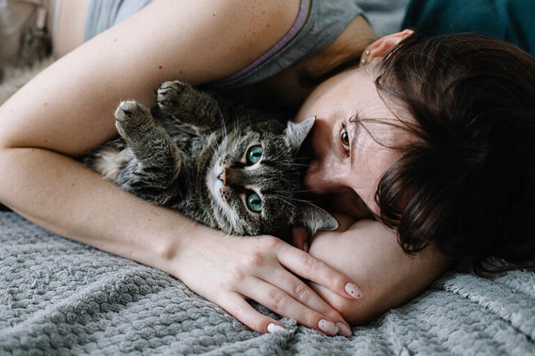 Why Don't Cats Live as Long as Humans? What Science Says (Vet-Verified ...