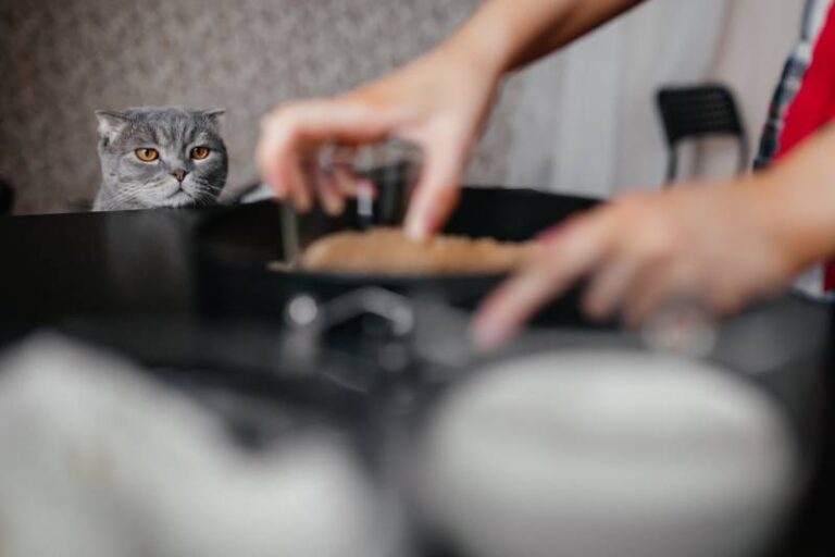 How to Cook Chicken for Cats: Vet Reviewed Recipes & What to Know | The ...