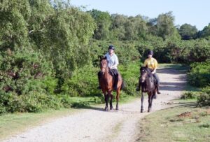 Do Horses Like to Be Ridden? Trust & Training Explained | The Vet Desk