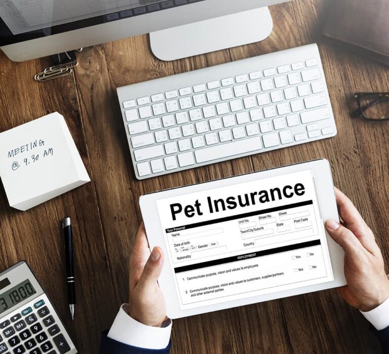 Metlife Pet Insurance Review 2026: Pros, Cons & Verdict | The Vet Desk