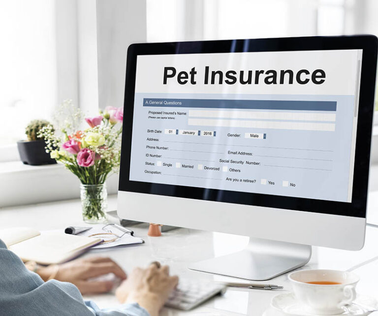 How Much Does Banfield Pet Insurance Cost in 2026? Coverage & Benefits ...
