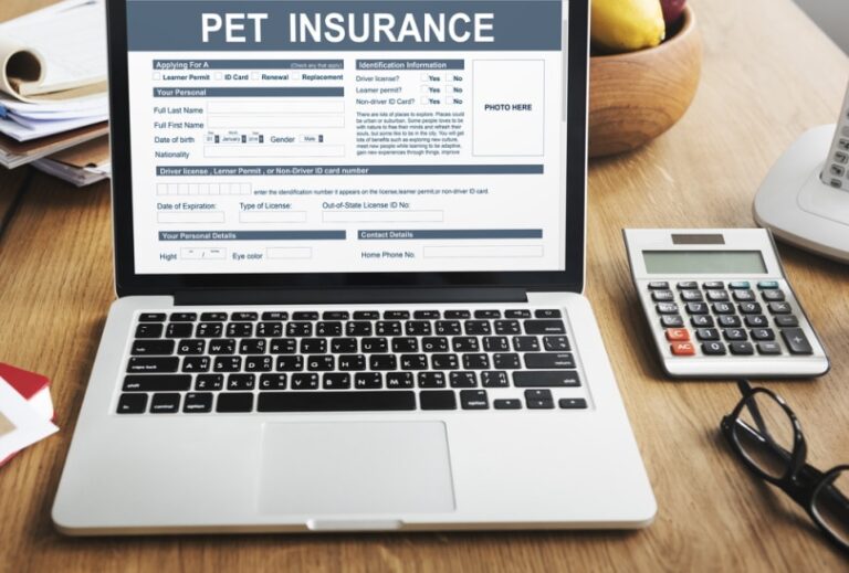 Metlife Pet Insurance Review 2026: Pros, Cons & Verdict | The Vet Desk