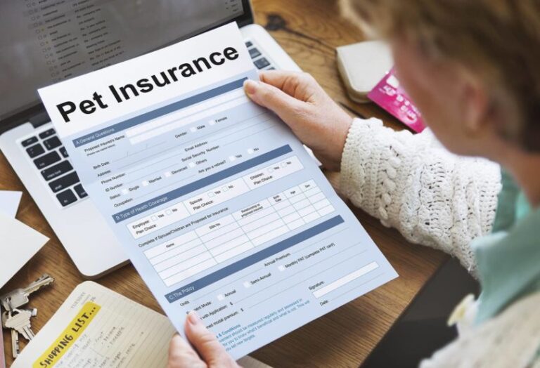 How Much Does Pet Insurance Cost 2026 Price Guide The Vet Desk
