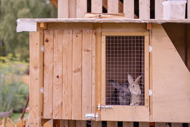 20 DIY Rabbit Hutch Plans You Can Build Today (With Pictures) | The Vet ...