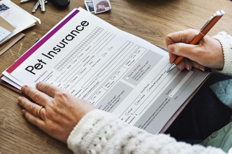 Healthy Paws Pet Insurance Review 2026: Pros, Cons & Verdict | The Vet Desk