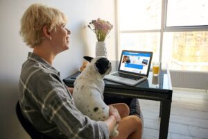 What Happened to Pets.com? The Full Story | The Vet Desk
