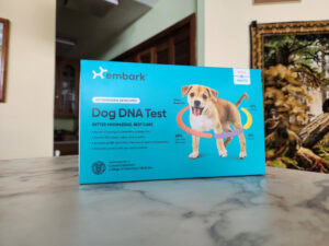 Embark Dog DNA Breed & Health Test Kit Review 2025: Our Expert’s ...