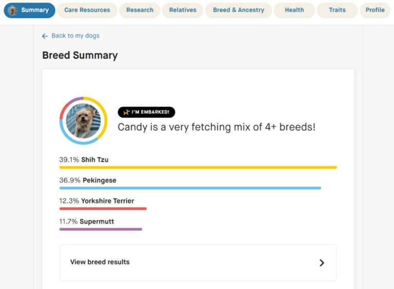 Embark Dog DNA Breed & Health Test Kit Review 2025: Our Expert’s ...