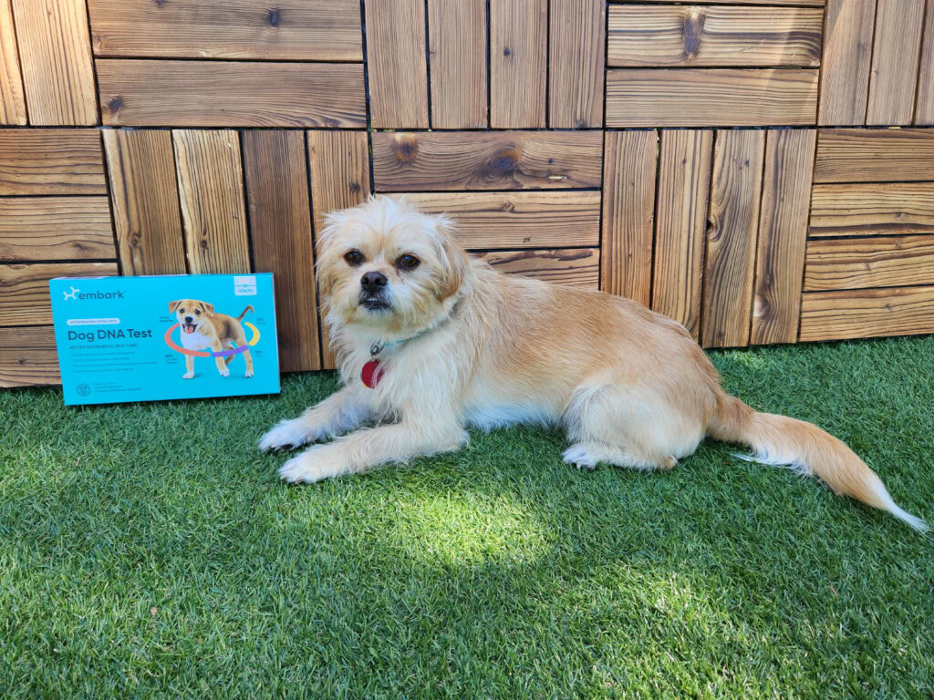 Embark Dog DNA Breed & Health Test Kit Review 2026: Our Expert’s ...