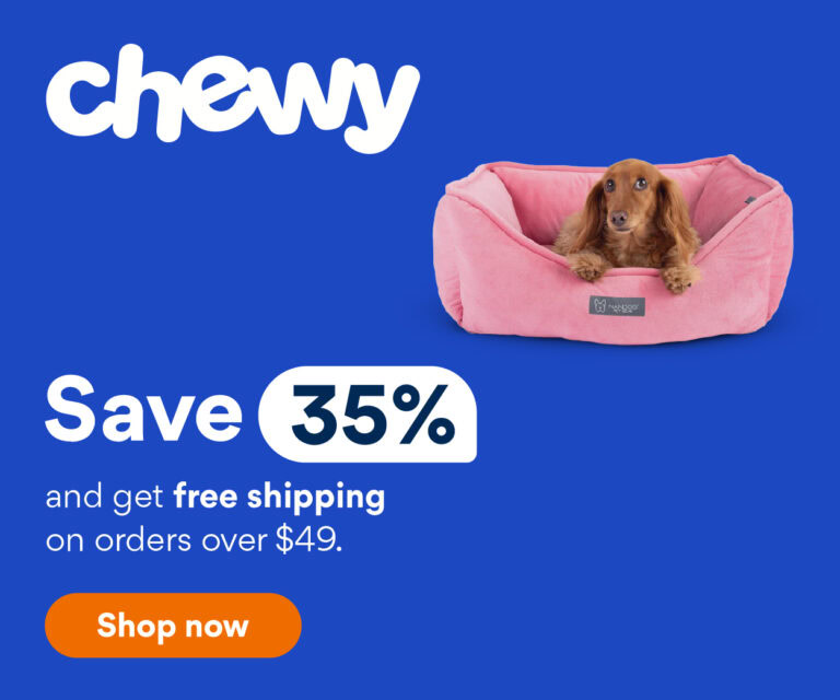 Dog Urine Color Chart: Vet-Verified Guide on Normal or Concerning Signs ...