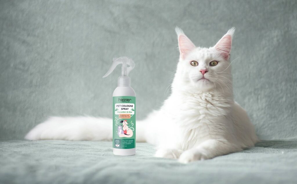 10 Best Cat Colognes in 2026 – Reviews & Top Picks | The Vet Desk