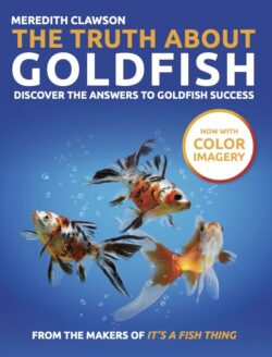 Goldfish Losing Scales? Here's What to Do (Vet-Reviewed Guide) | The ...