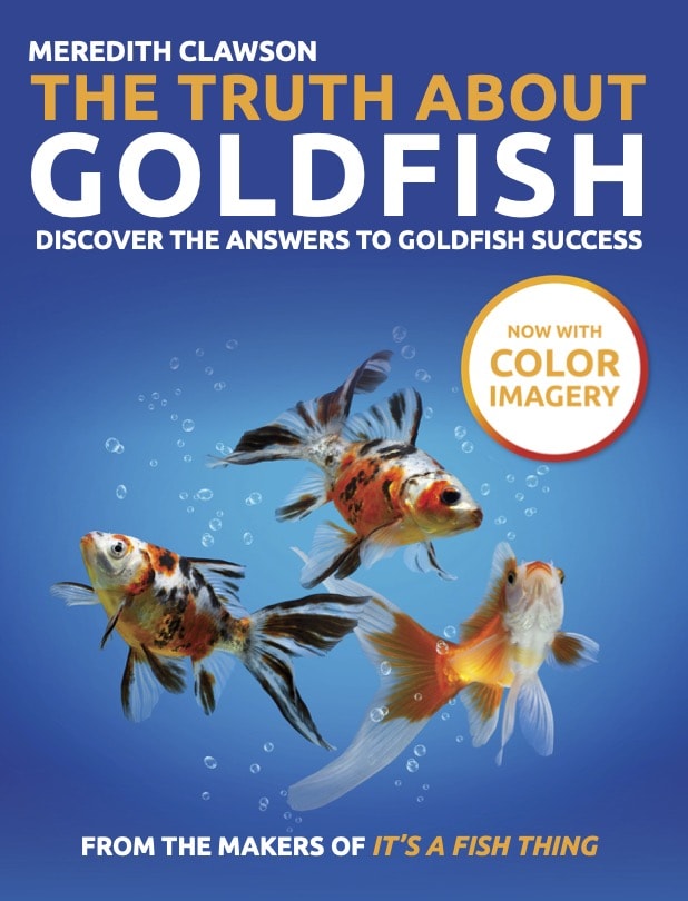 Common Goldfish: Vet-Approved Care Guide, Varieties, Lifespan & Info ...