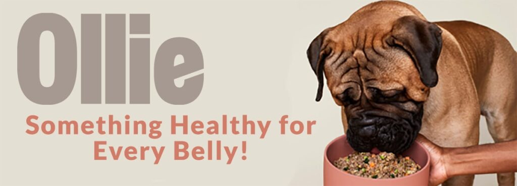 Why Do Dogs Eat Rocks? 9 Vet-Verified Reasons & How To Stop It | The ...