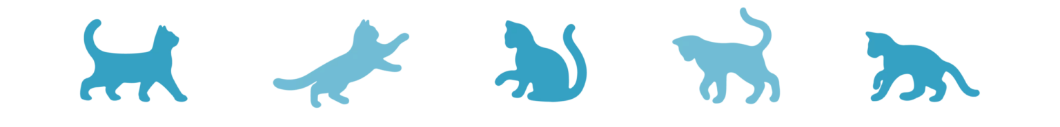 Cat Breathing Rate: How Fast Should It Be? Vet-Reviewed Facts & FAQ ...