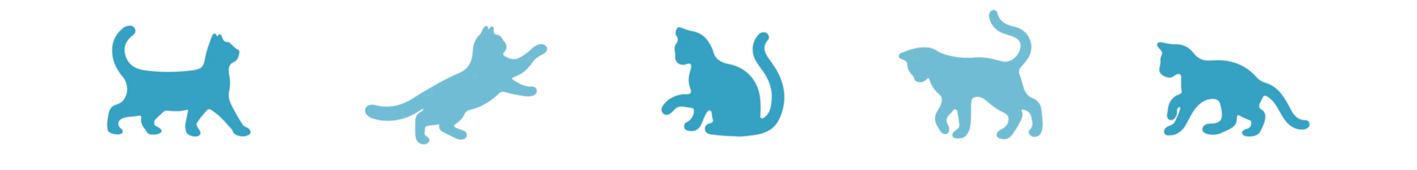 Cat Breathing Rate: How Fast Should It Be? Vet-Reviewed Facts & FAQ ...