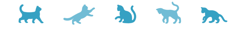 Why Do Cats Like Fish So Much? Vet-Reviewed Nutrition & Precautions ...