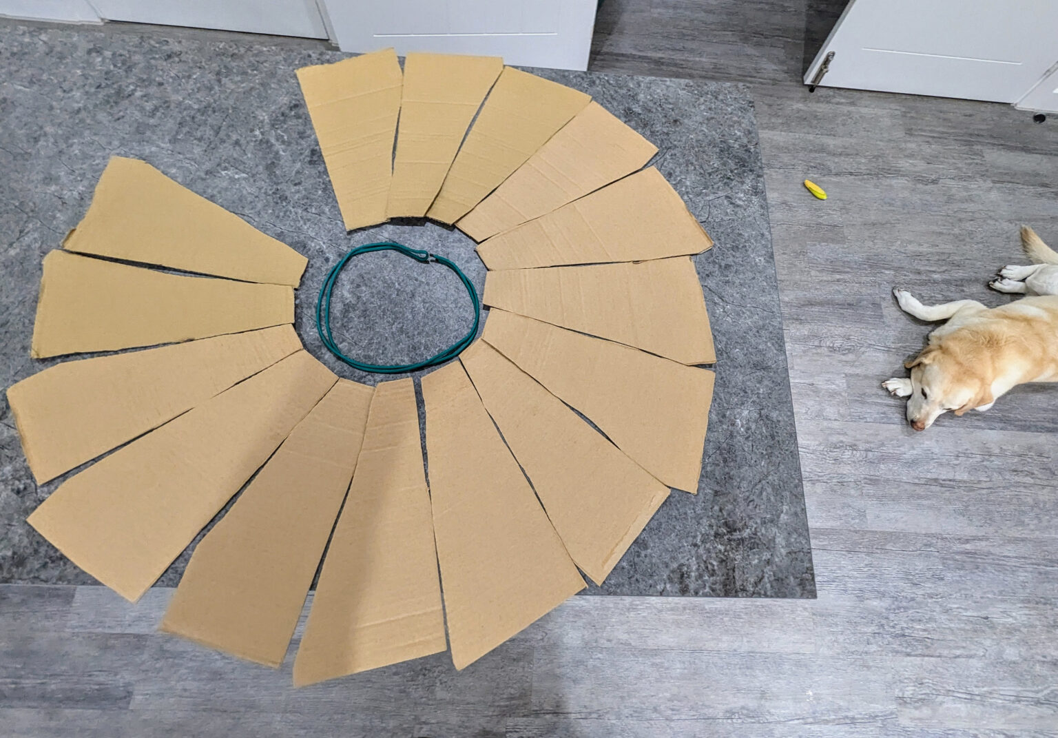 7 DIY Dog Cones You Can Make At Home: Vet-Tested & With Pictures | The ...