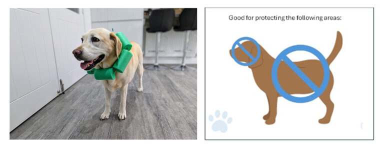 7 DIY Dog Cones You Can Make At Home: Vet-Tested & With Pictures | The ...