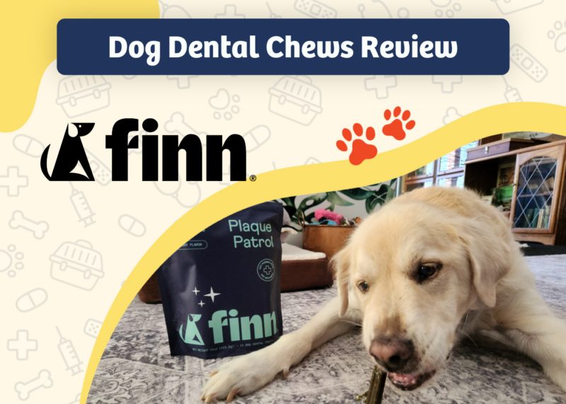 Finn Plaque Patrol Dog Dental Chews Review 2026: A Vet-Approved Look at ...