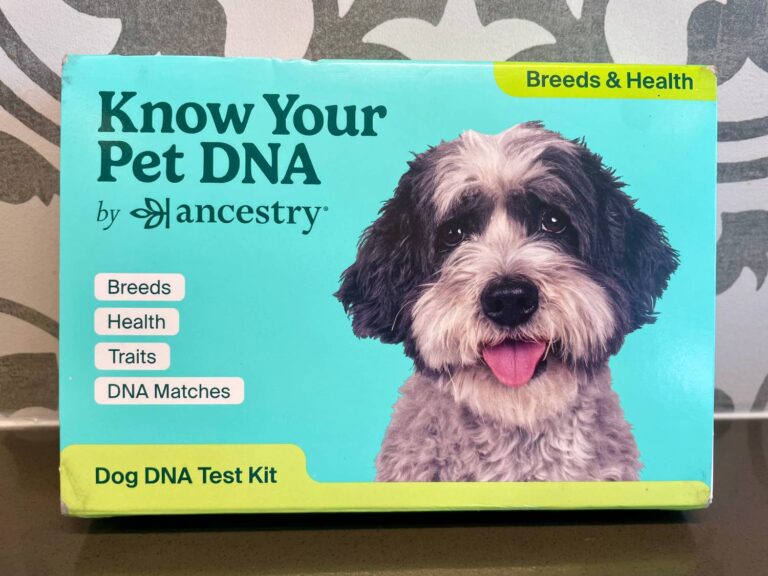 Ancestry Know Your Pet DNA Review 2026: Get to Know Your Dog Better ...