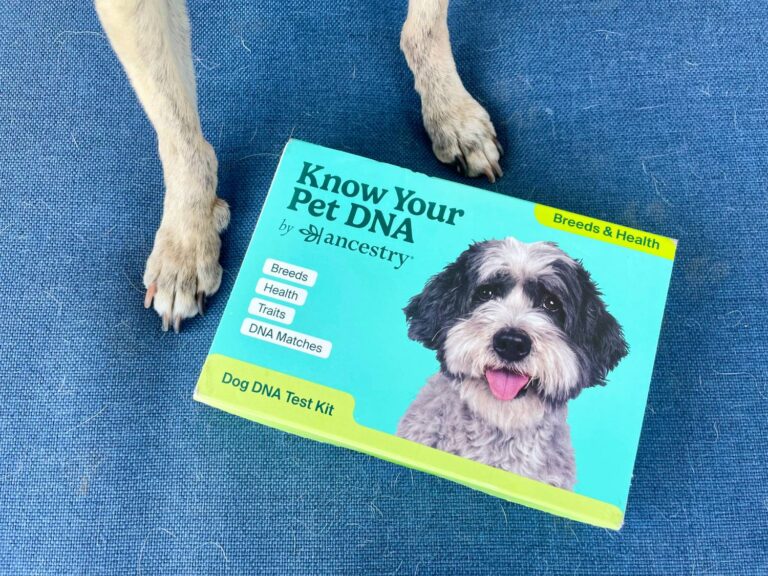 Ancestry Know Your Pet DNA Review 2026: Get to Know Your Dog Better ...
