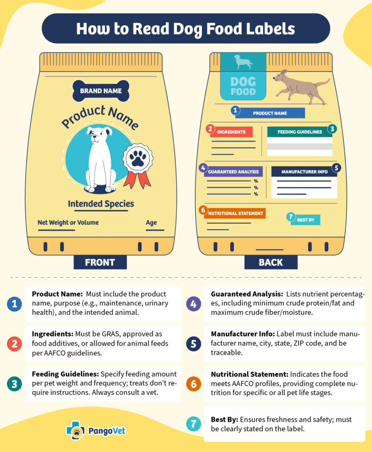 What Is Kibble Dog Food? How It’s Made, Pros, Cons & FAQ | The Vet Desk